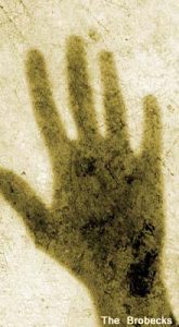 Albums - The Brobecks Wiki